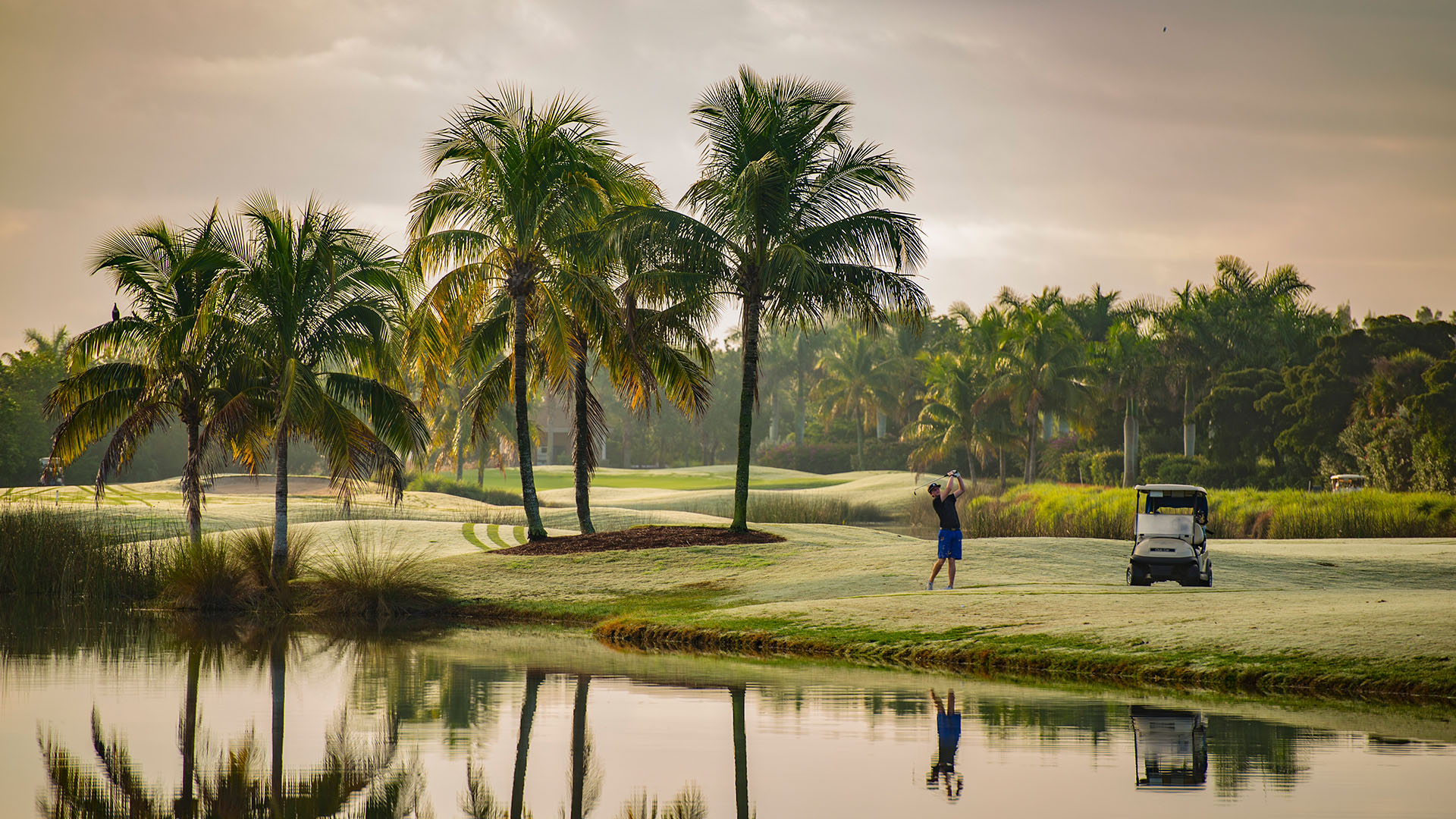 Shell Point earns national accolade as one of America’s Best Planned ...